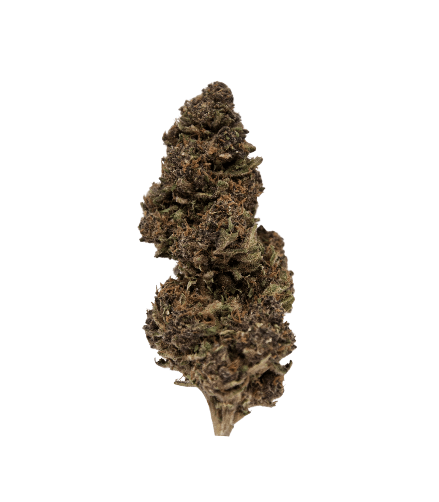 CBD shop en France - La boutique en Herbe