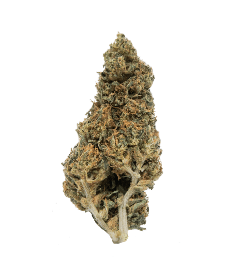 Mandarine Kush 9% - vente de fleurs CBD