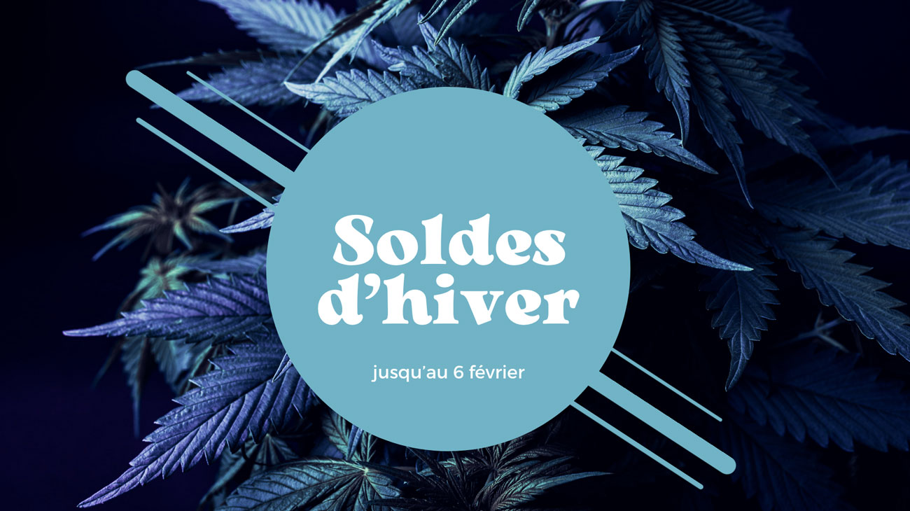 Boutique CBD Herbe France vente de cannabis légal